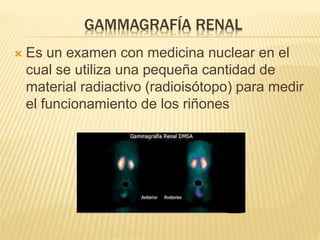 Envejecimiento y-métodos-diagnostico-del-sistema-renal | PPT