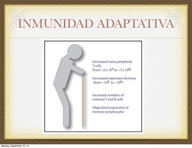 Envejecimiento por aparatos y sistema Envejecimiento por aparatos y sistema
