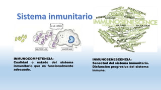 Envejecimiento del sistema inmune 1 | PPTX