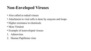Enveloped and Non Enveloped Viruses.pptx