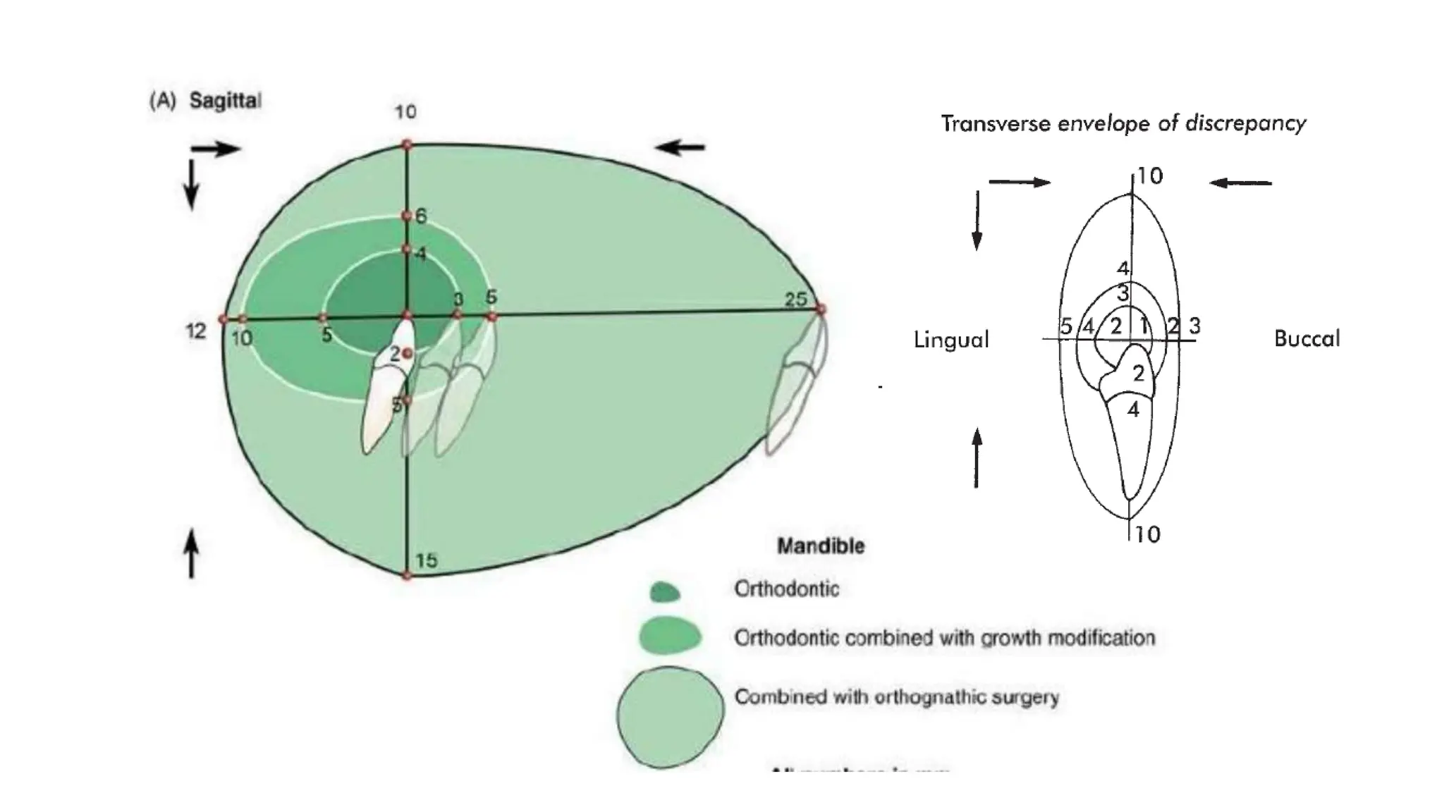 Envelope of Discrepancy in Orthodontics: Enhancing Precision in ...