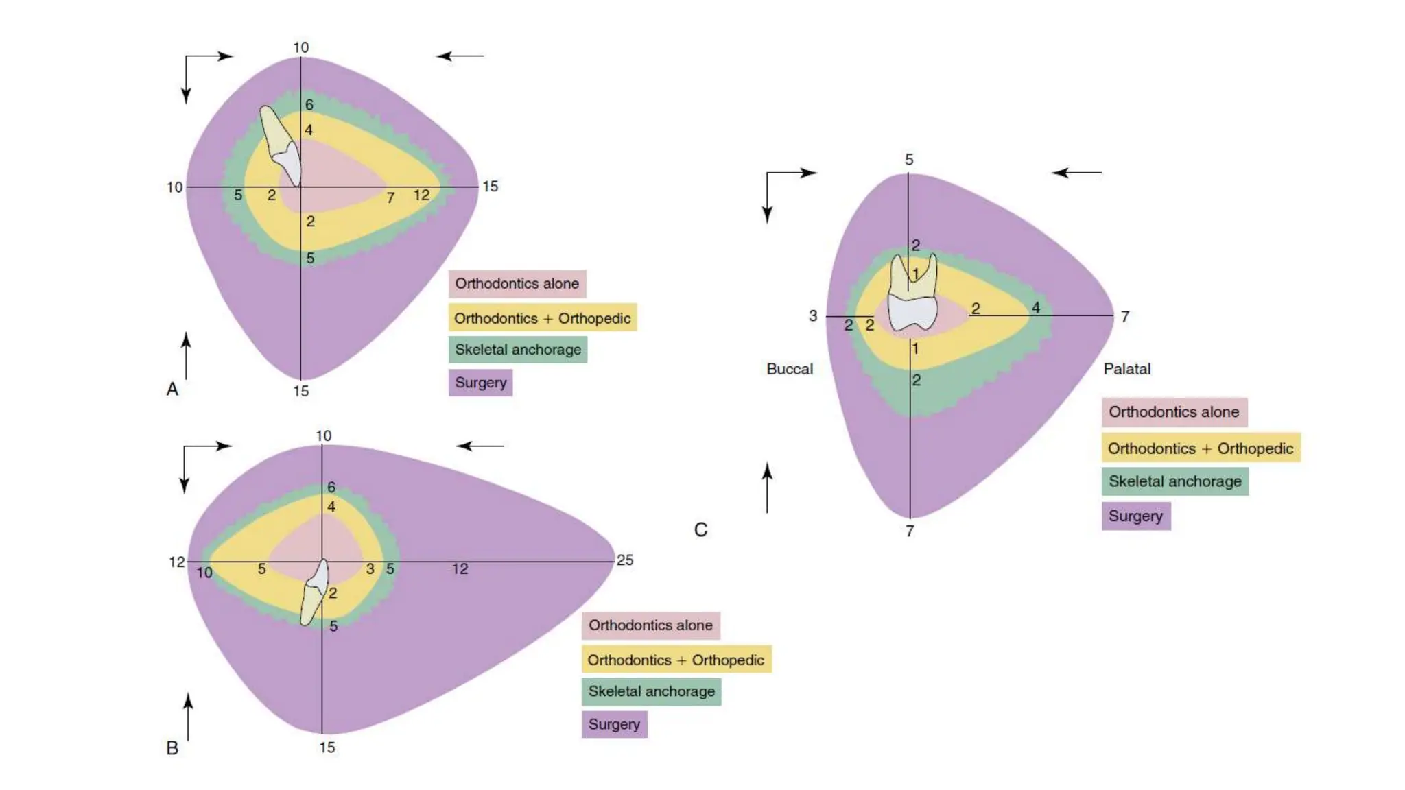 Envelope of Discrepancy in Orthodontics: Enhancing Precision in ...