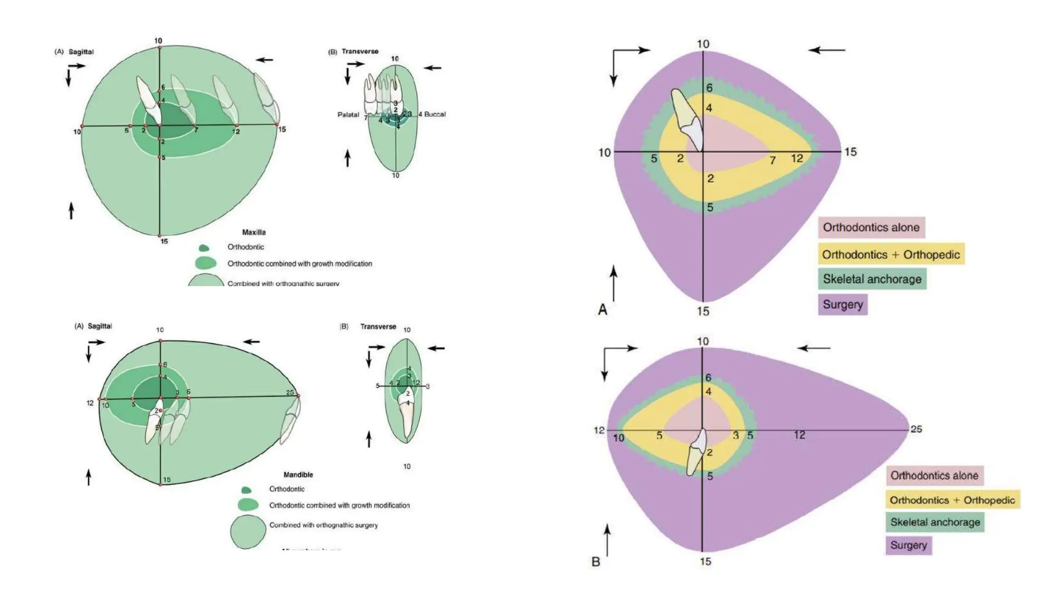 Envelope of Discrepancy in Orthodontics: Enhancing Precision in ...