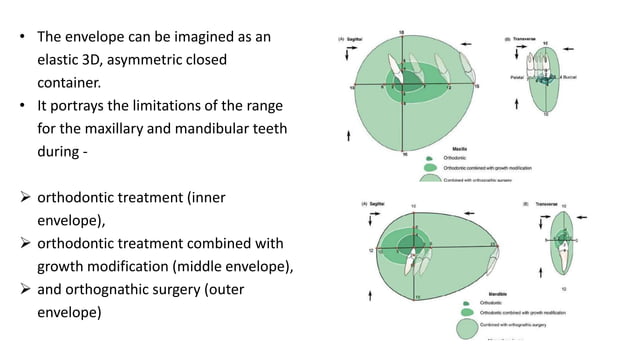 Envelope of Discrepancy in Orthodontics: Enhancing Precision in ...