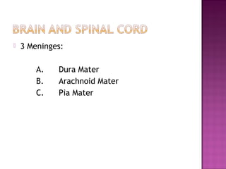 Envelopes of the brain | PPT