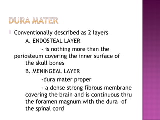 Envelopes of the brain | PPT