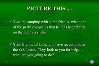 Envenomation of Snake Bites | PPT | First Aid | Injuries