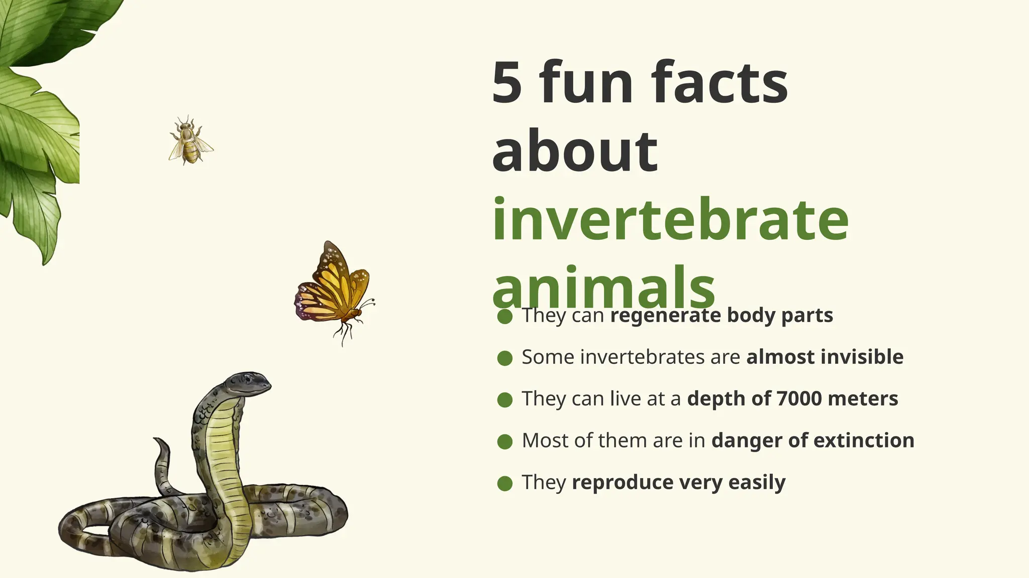 Vertebrate and Invertebrate Animals.pptx