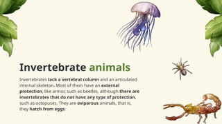 Vertebrate and Invertebrate Animals.pptx