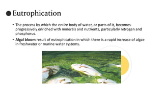 ENVI. SCI_LESSON 3 - Final term - Water (1).pdf