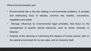 ENVIRONMENTAL SCIENCE PRINCIPLE AND LAWS.pptx