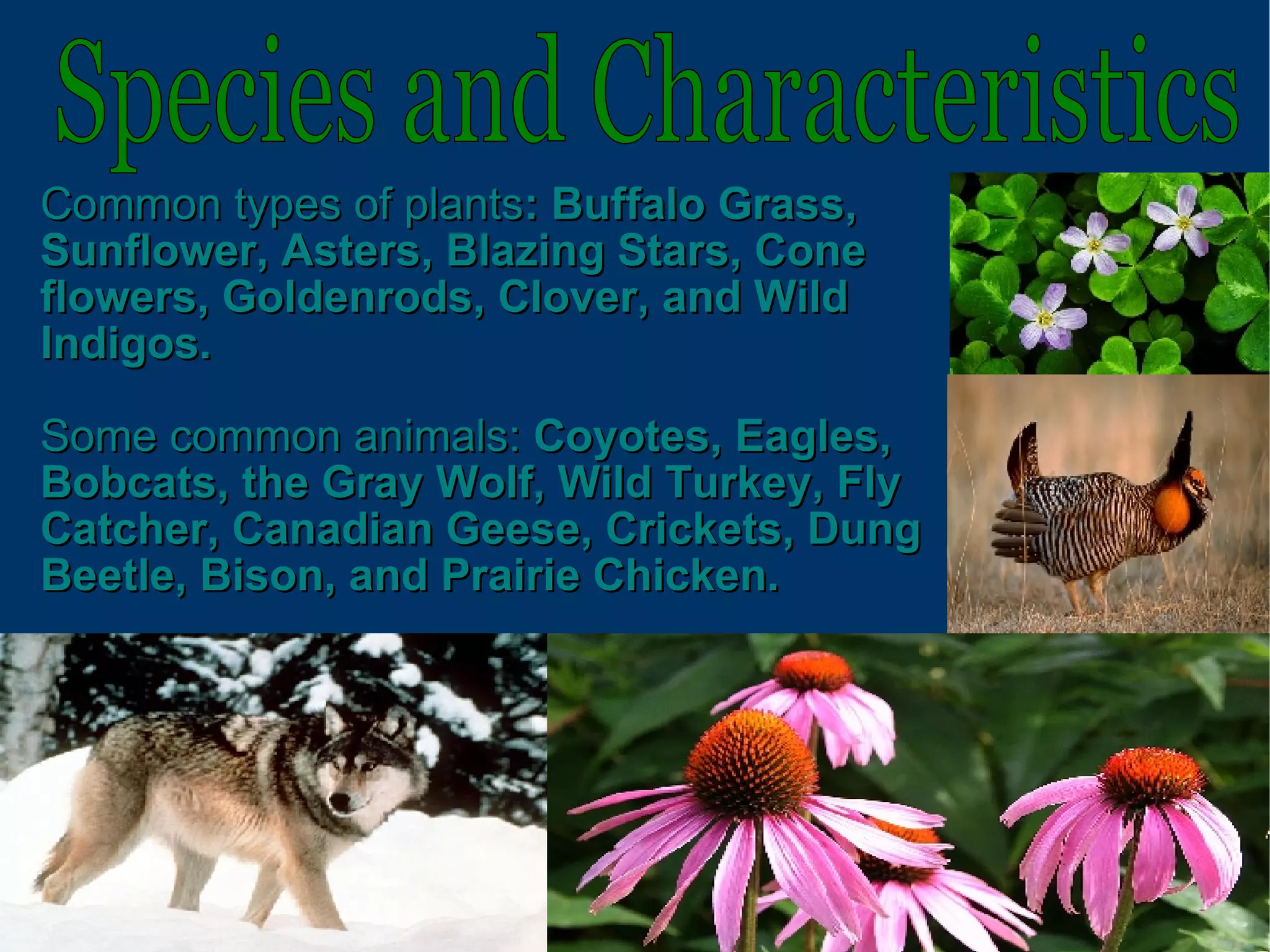 Envi Sci Powerpoint | PPT