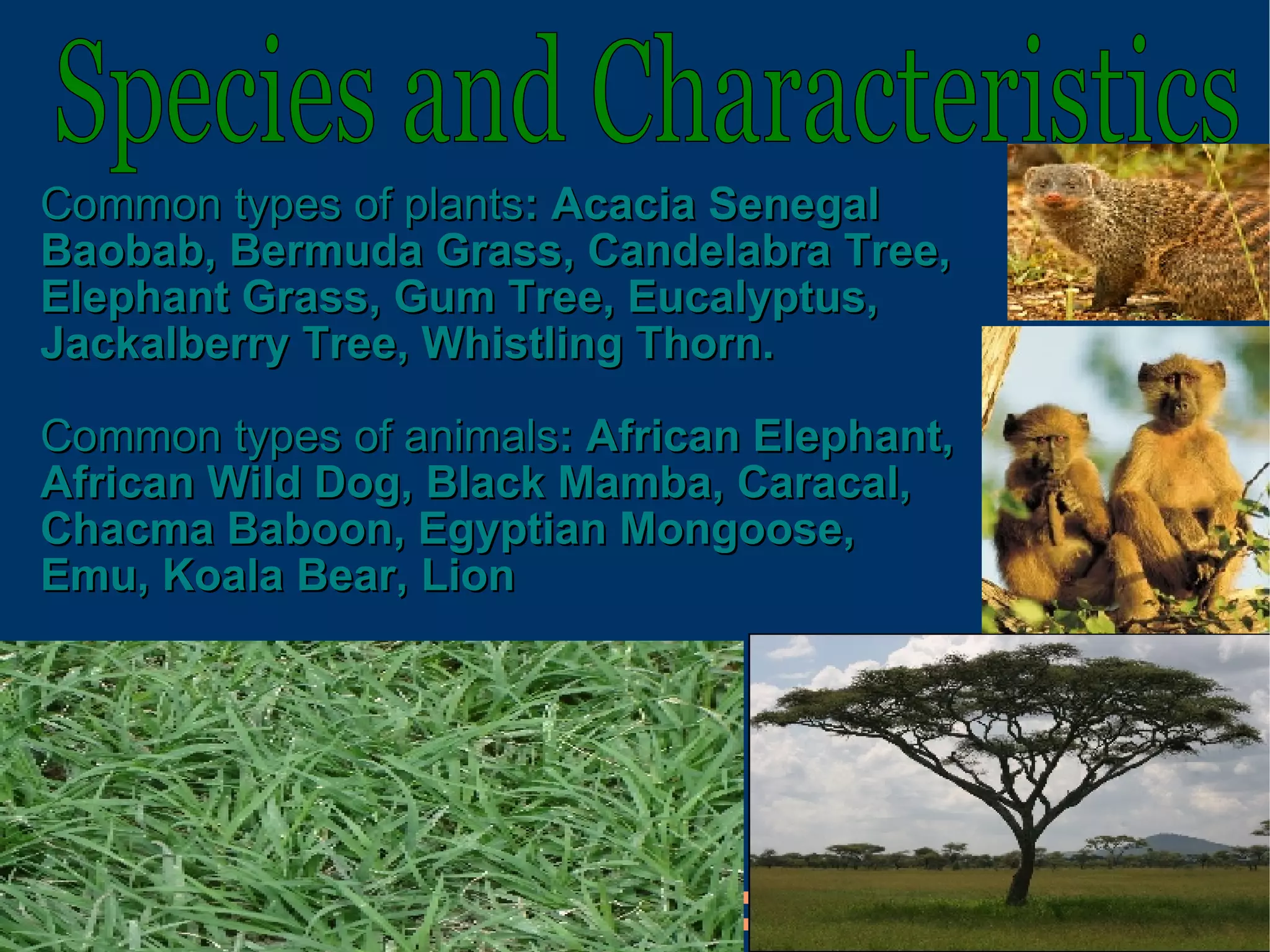 Envi Sci Powerpoint | PPT