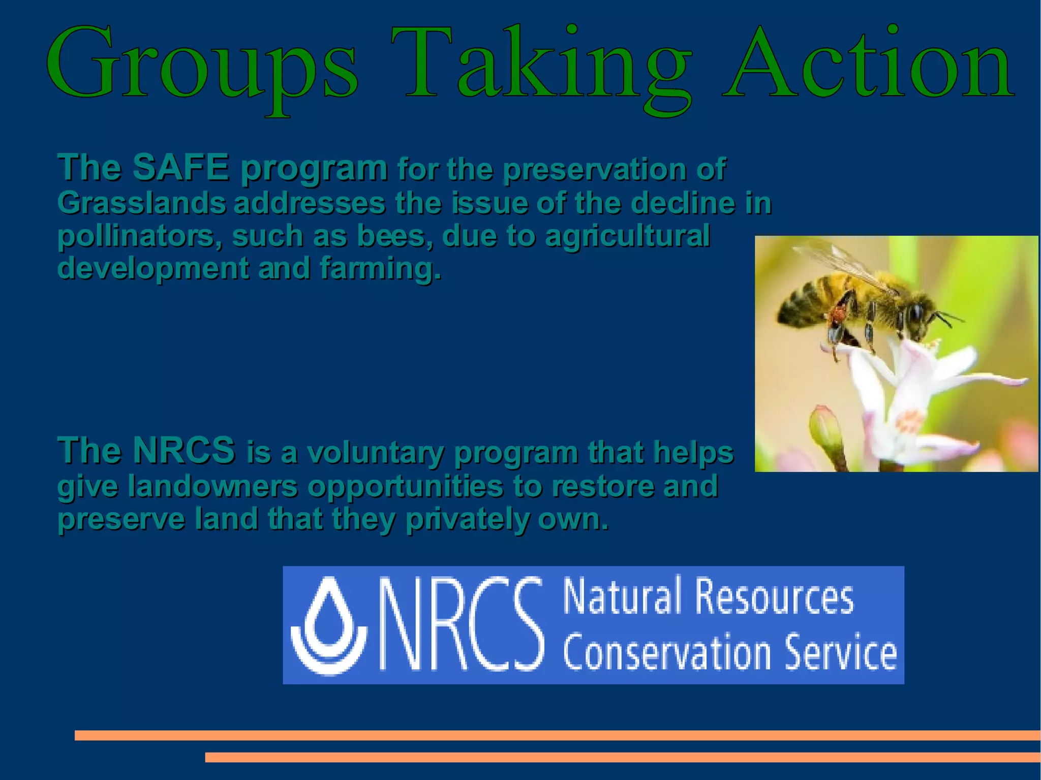 Envi Sci Powerpoint | PPT