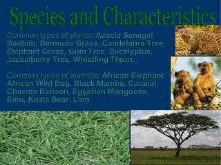 Envi Sci Powerpoint | PPT