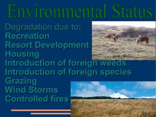 Envi Sci Powerpoint | PPT