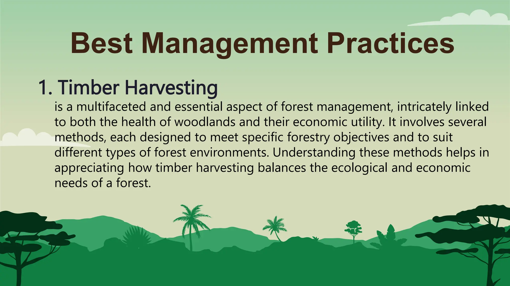 Forest Management- Simple Explanation on Why it's needed | PPTX
