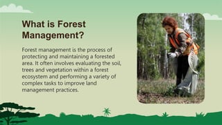 Forest Management- Simple Explanation on Why it's needed | PPTX