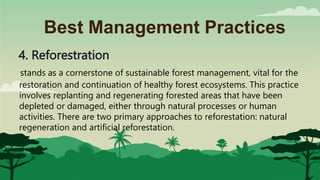 Forest Management- Simple Explanation on Why it's needed | PPTX