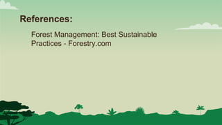 Forest Management- Simple Explanation on Why it's needed | PPTX