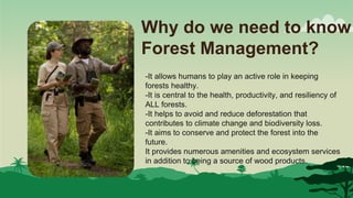 Forest Management- Simple Explanation on Why it's needed | PPTX
