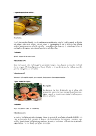 Frutas tropicales y pescados comerciales del Ecuador | DOCX