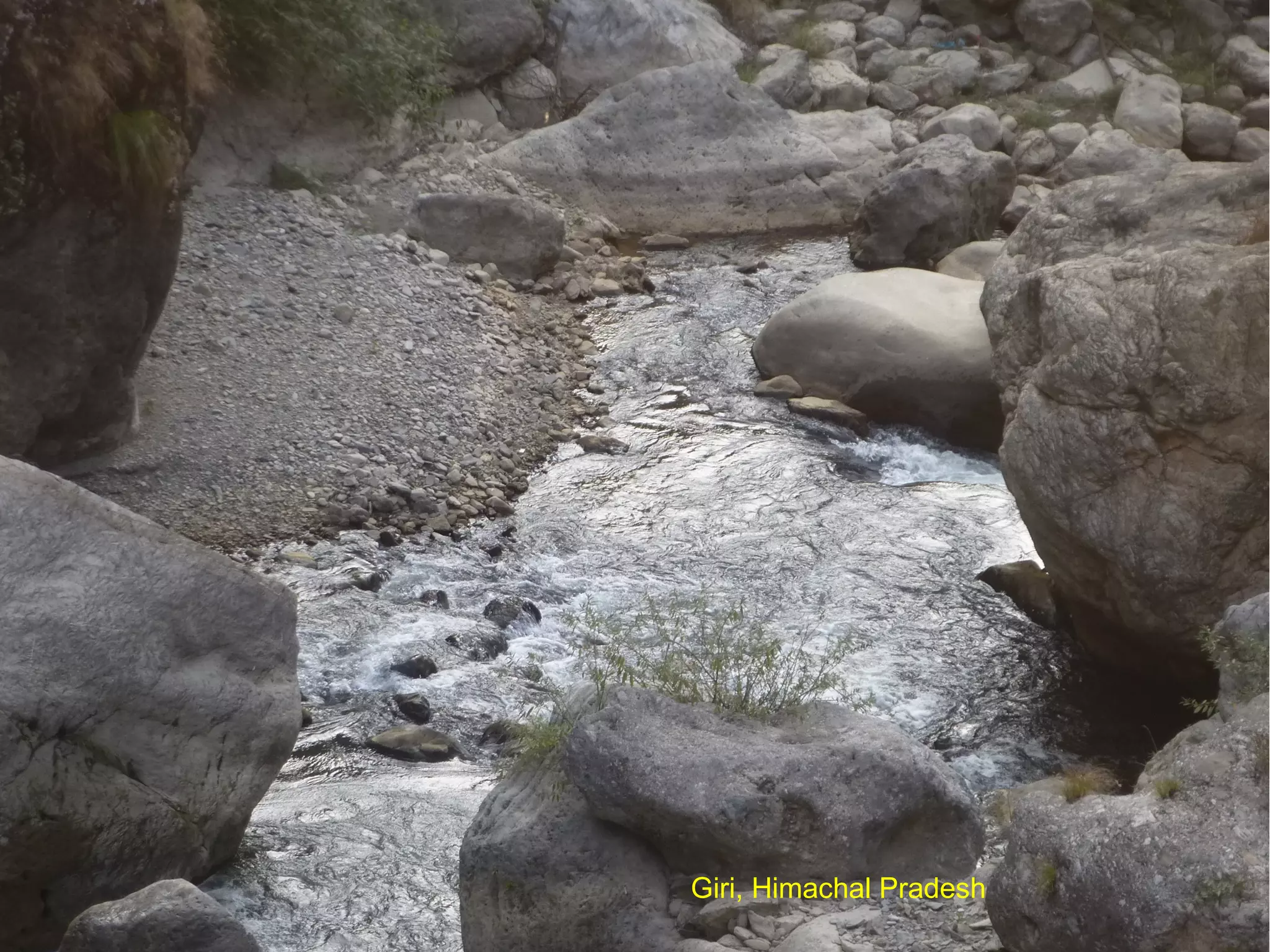 Envionmental flows of rivers | PPT