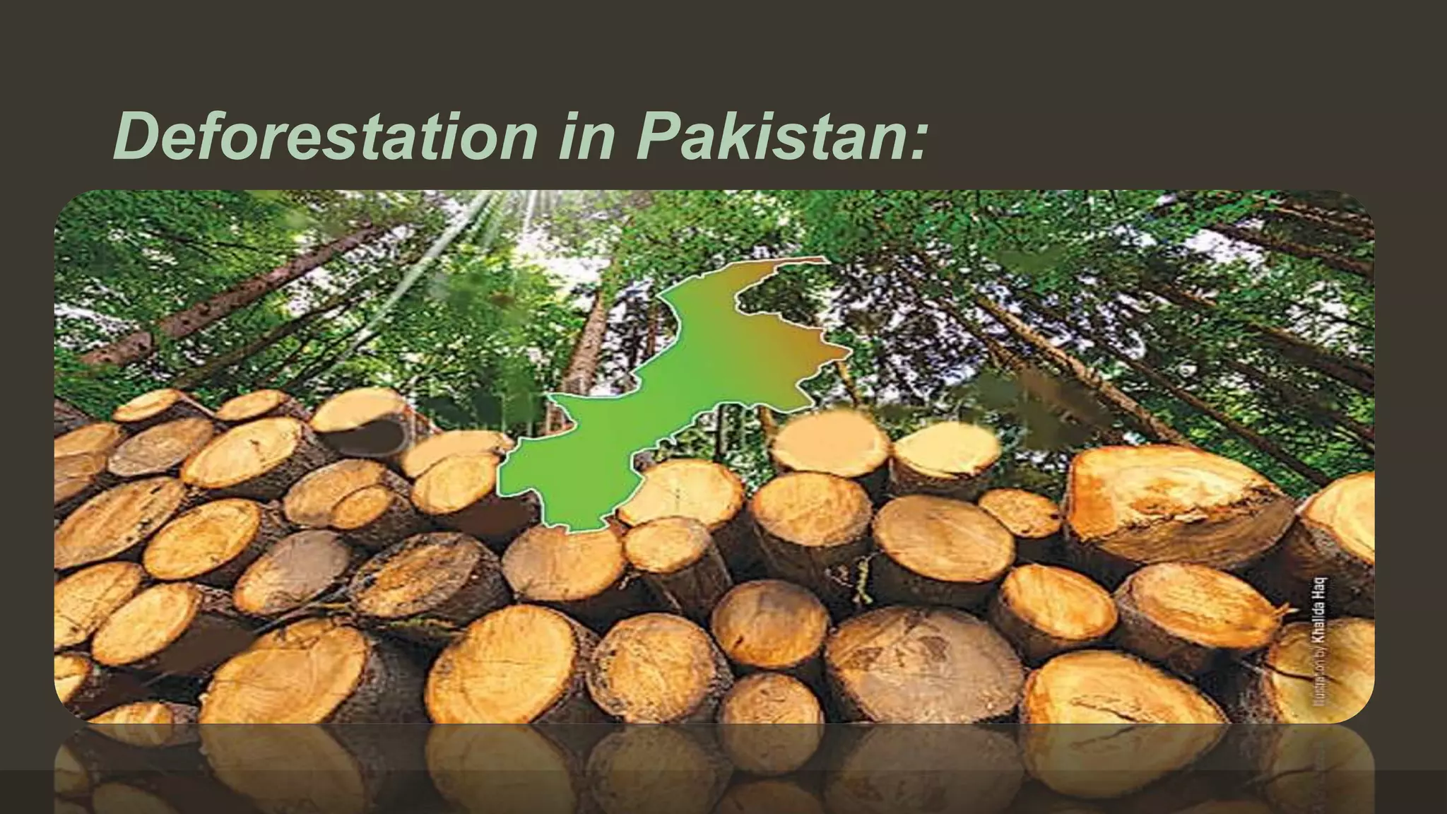Enviormental Issues Of Pakistan | PPTX