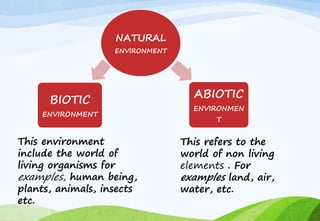 Enviornment | PPTX | Environment | Science