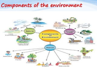 Enviornment | PPT