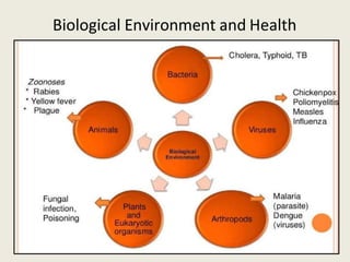 Enviornmental Health and Sanitation | PPTX
