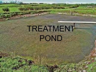 Treatment Pond | PPTX