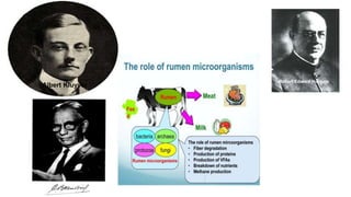 Environmental microbiology | PPTX