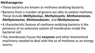 Environmental microbiology | PPTX