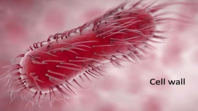 environmental microbiology | PPT