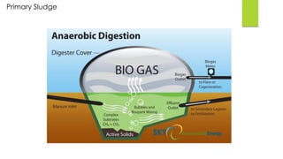 Primary & Advanced Primary Wastewater Treatement | PPT