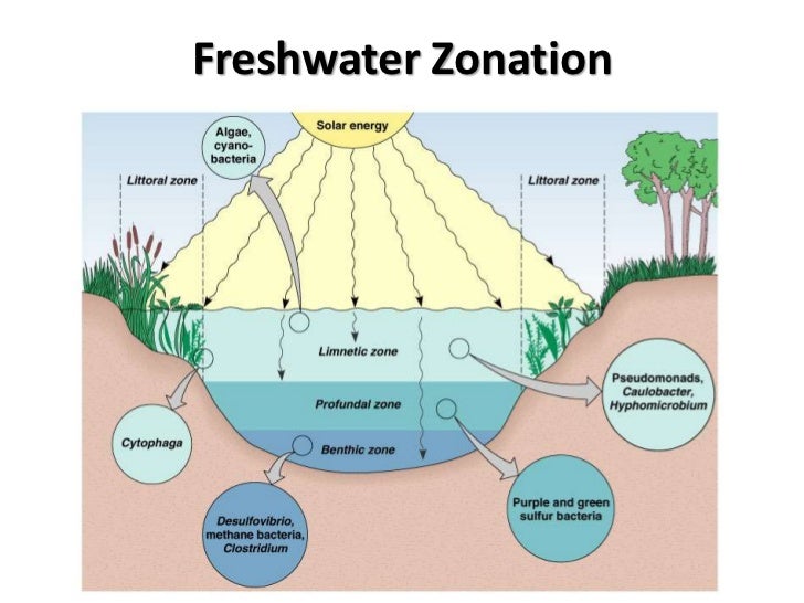 Enviromental, industrial micro