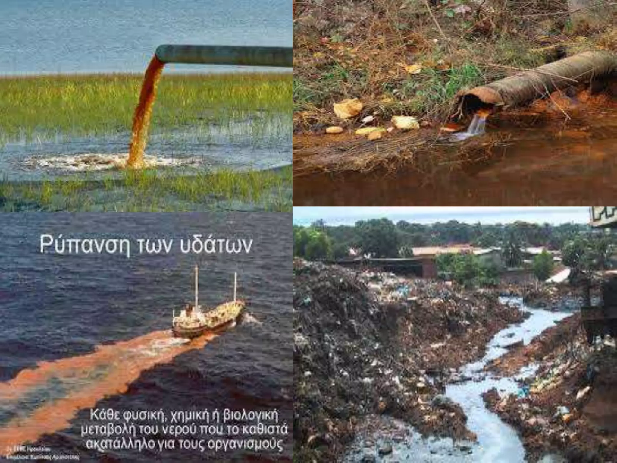 Enviromental pollution | PPTX