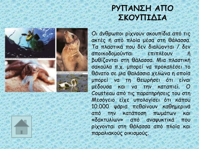 Enviromental pollution | PPTX