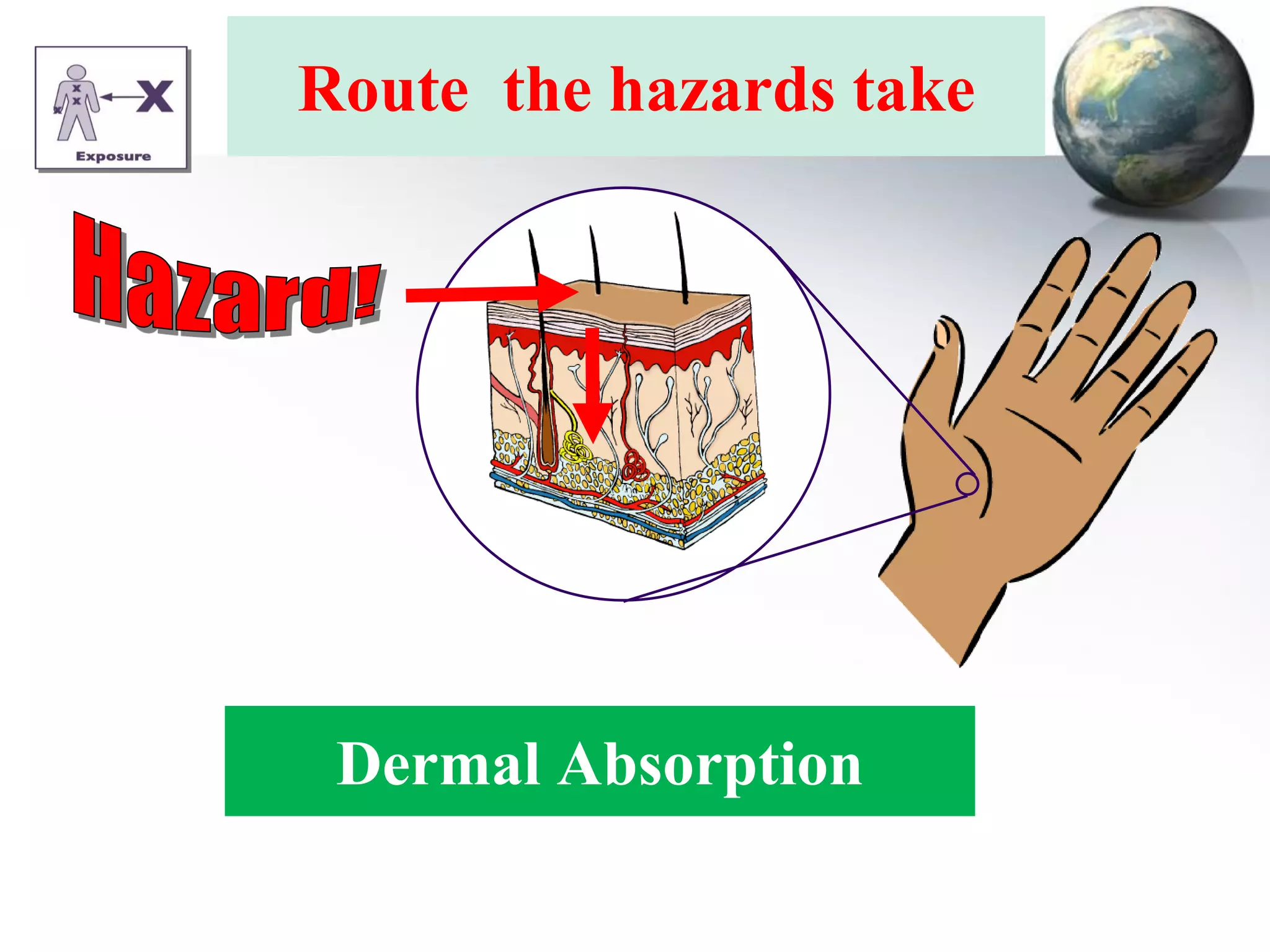 Enviromental risk assessment | PDF