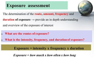 Enviromental risk assessment | PDF