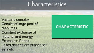 Enviromental sciences | PPT