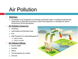 Pollution Causes And Effects