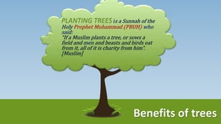 Tree plantion | PPTX