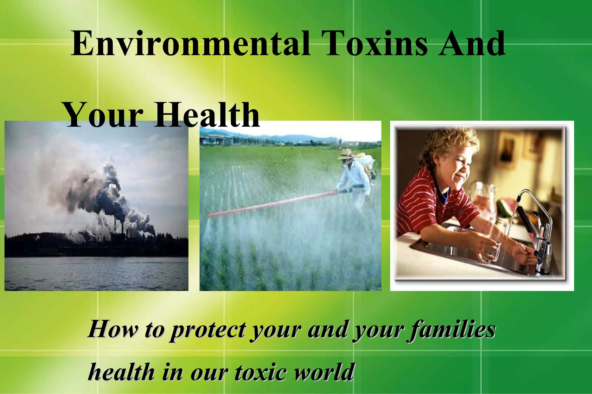 Enviromental toxins and your health complete | PPT | Diabetes ...