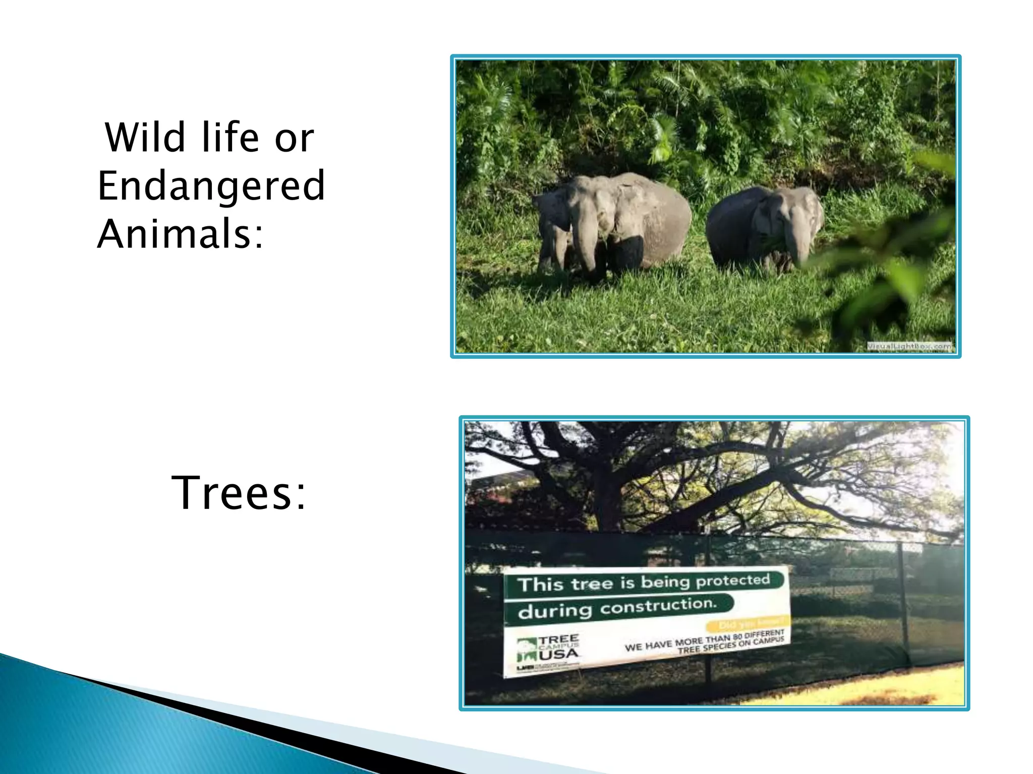 Environmental inventory / baseline studies | PPTX