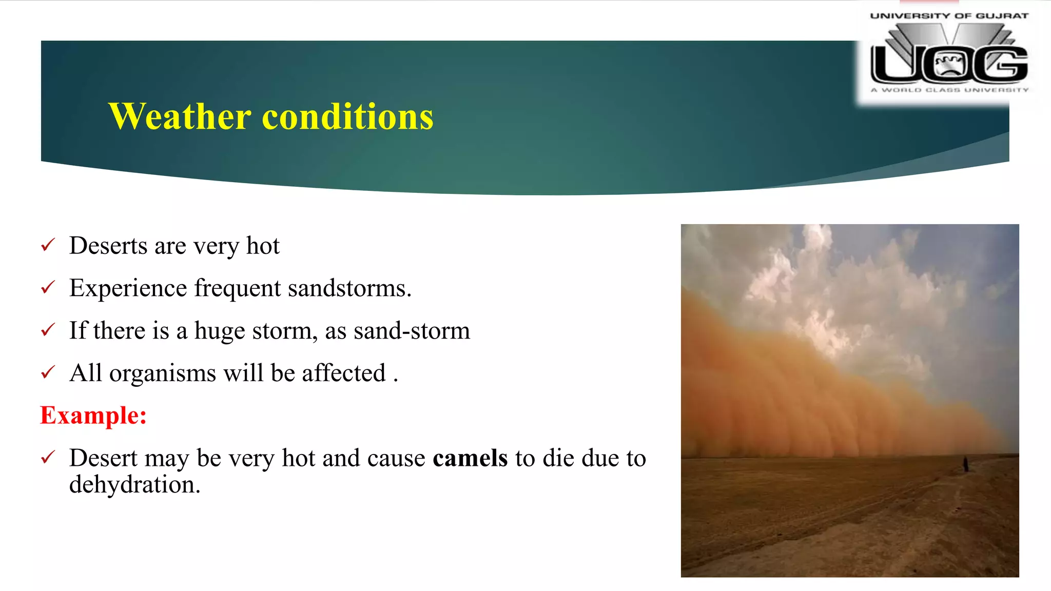 Limiting factors in desert ecosystem | PPTX