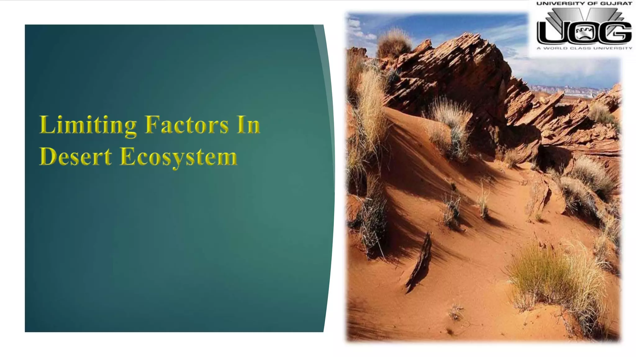 Limiting factors in desert ecosystem | PPTX