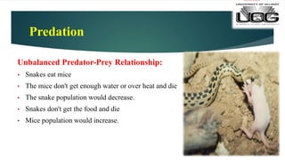 Limiting factors in desert ecosystem | PPTX