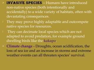 Enviroment project | PPT